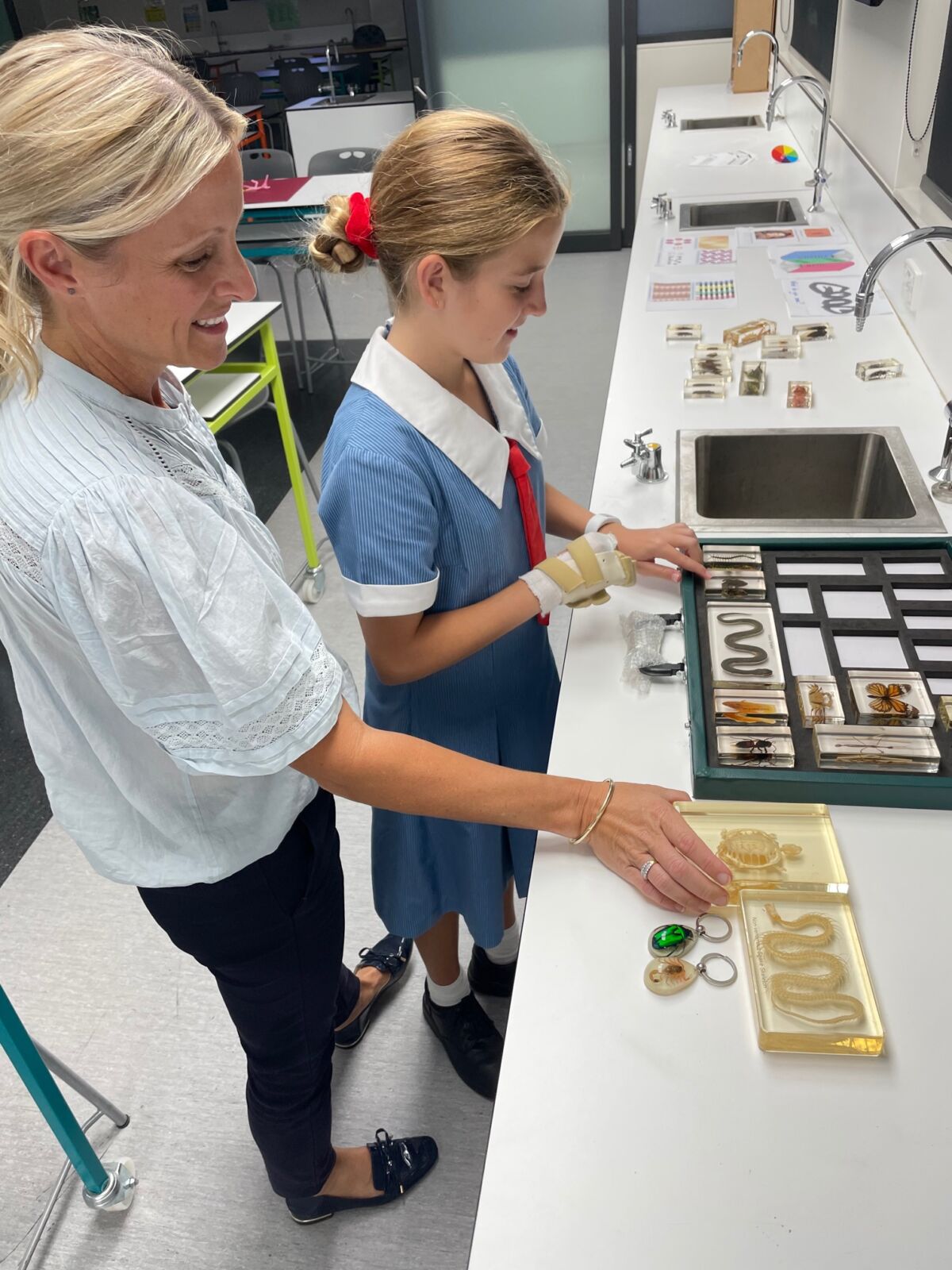 Our Lady of Mercy Catholic College Burraneer | Staff Professional Learning